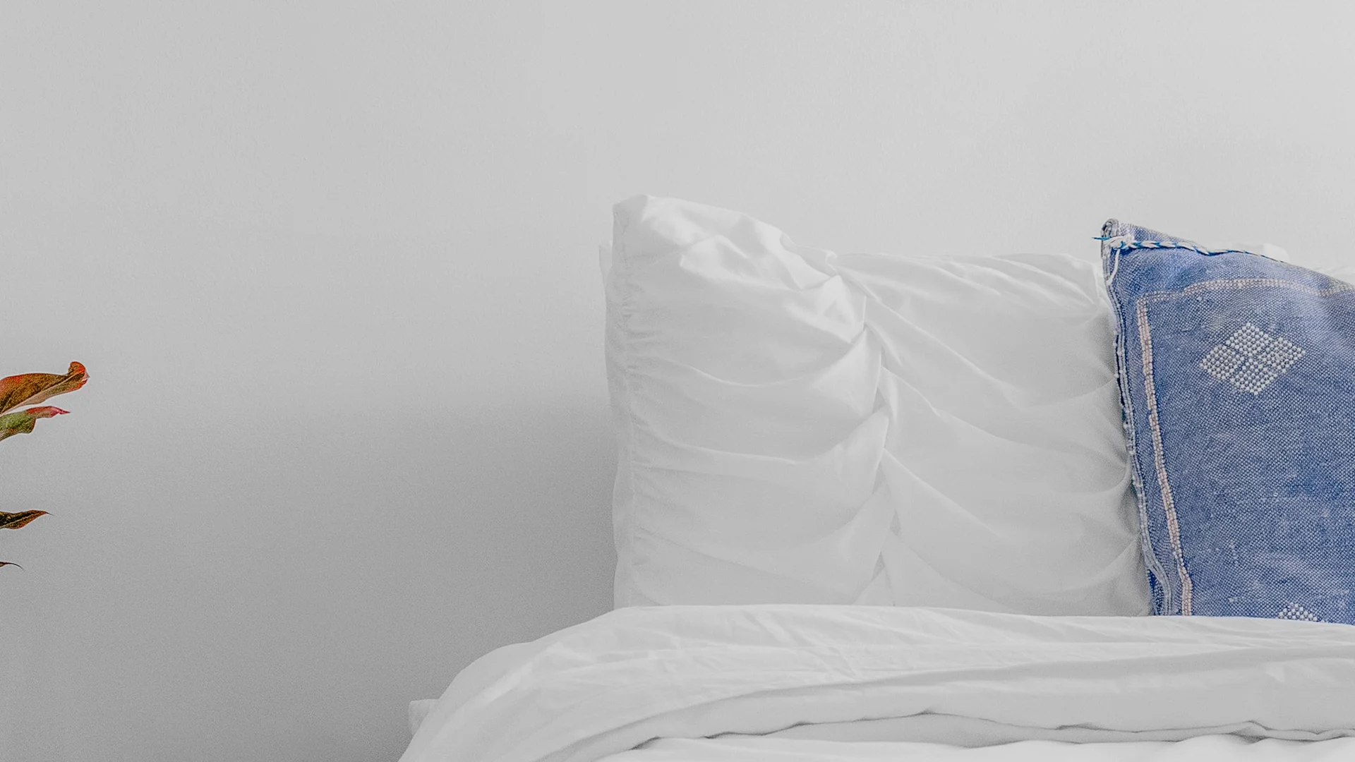 ENGISOFT Hotel Software - El PMS Hotel más potente